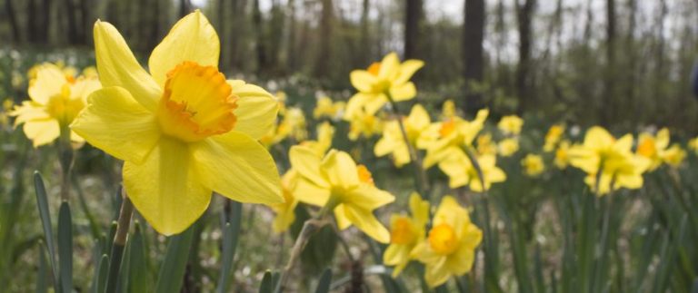 Town of Worcester, Vermont